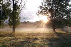 Can You Imagine? I Could Use Some Help! | The Grateful Golfer