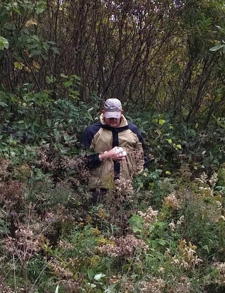 How to Search for a Lost Ball | The Grateful Golfer