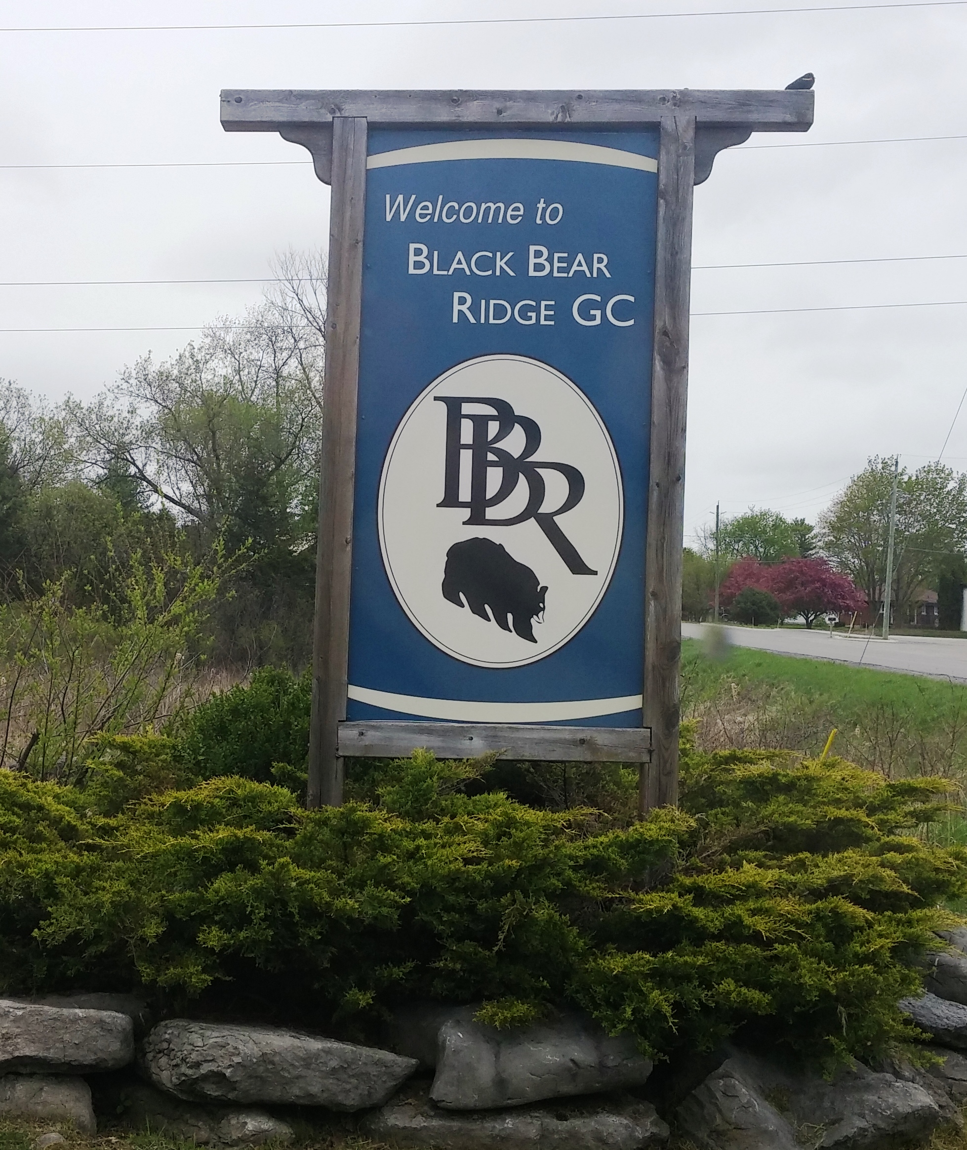 Black Bear Ridge Golf Course – Review | The Grateful Golfer