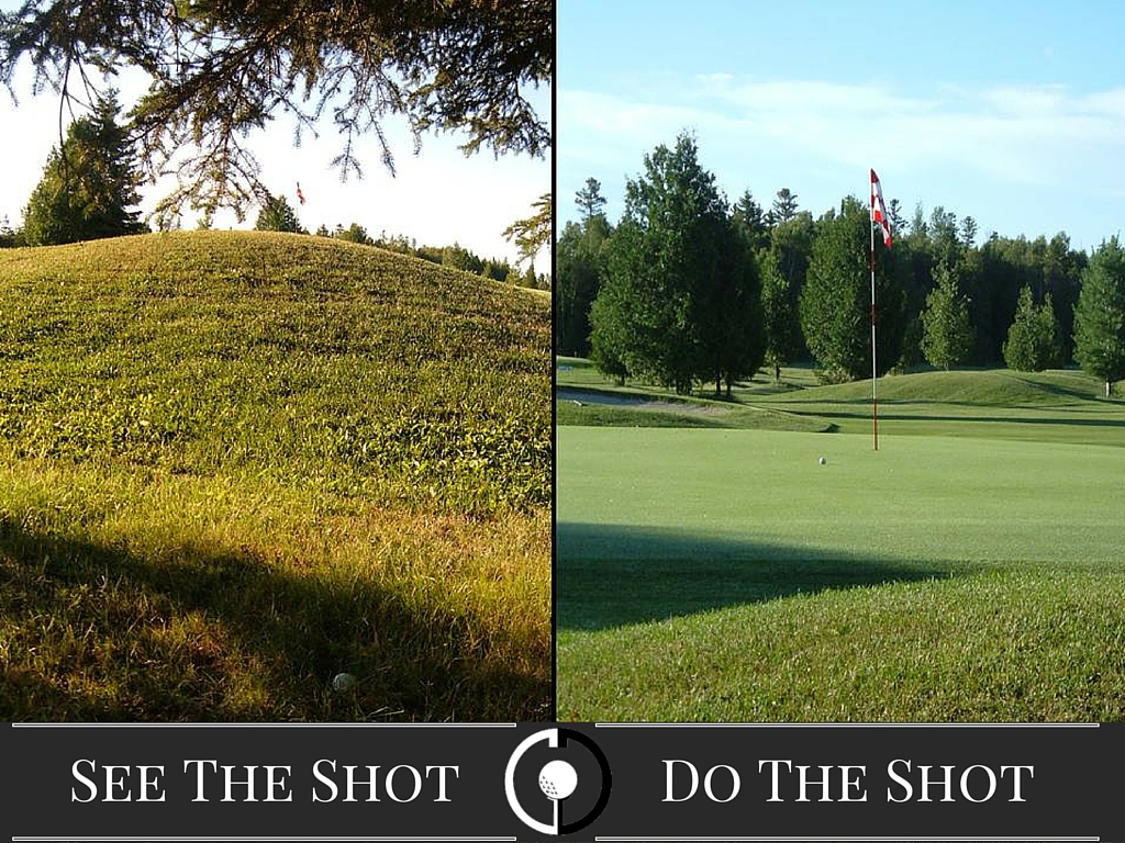 Hitting A Golf Ball Over An Obstacle | The Grateful Golfer