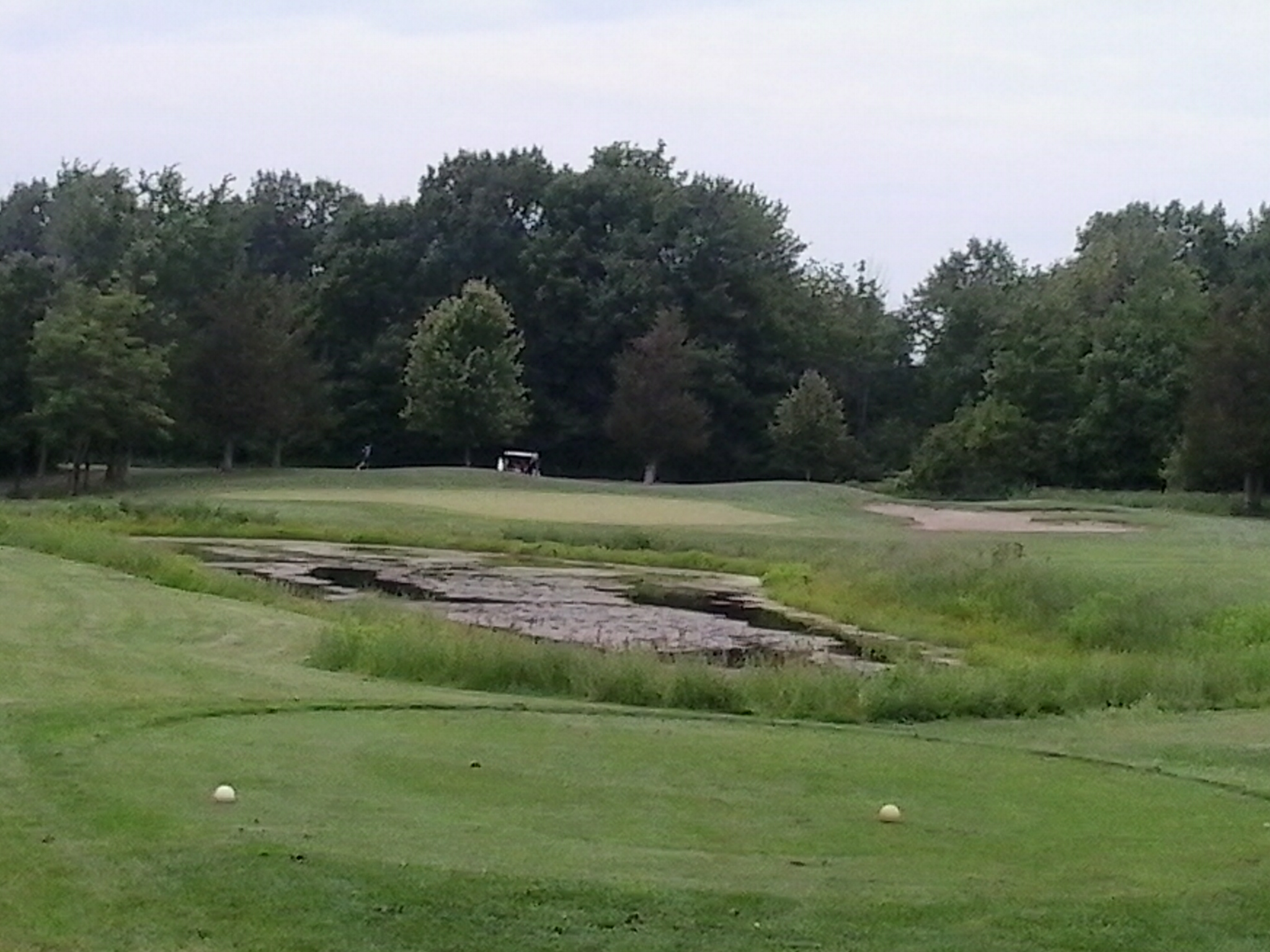 Golf – Your Favorite Approach Shot | The Grateful Golfer