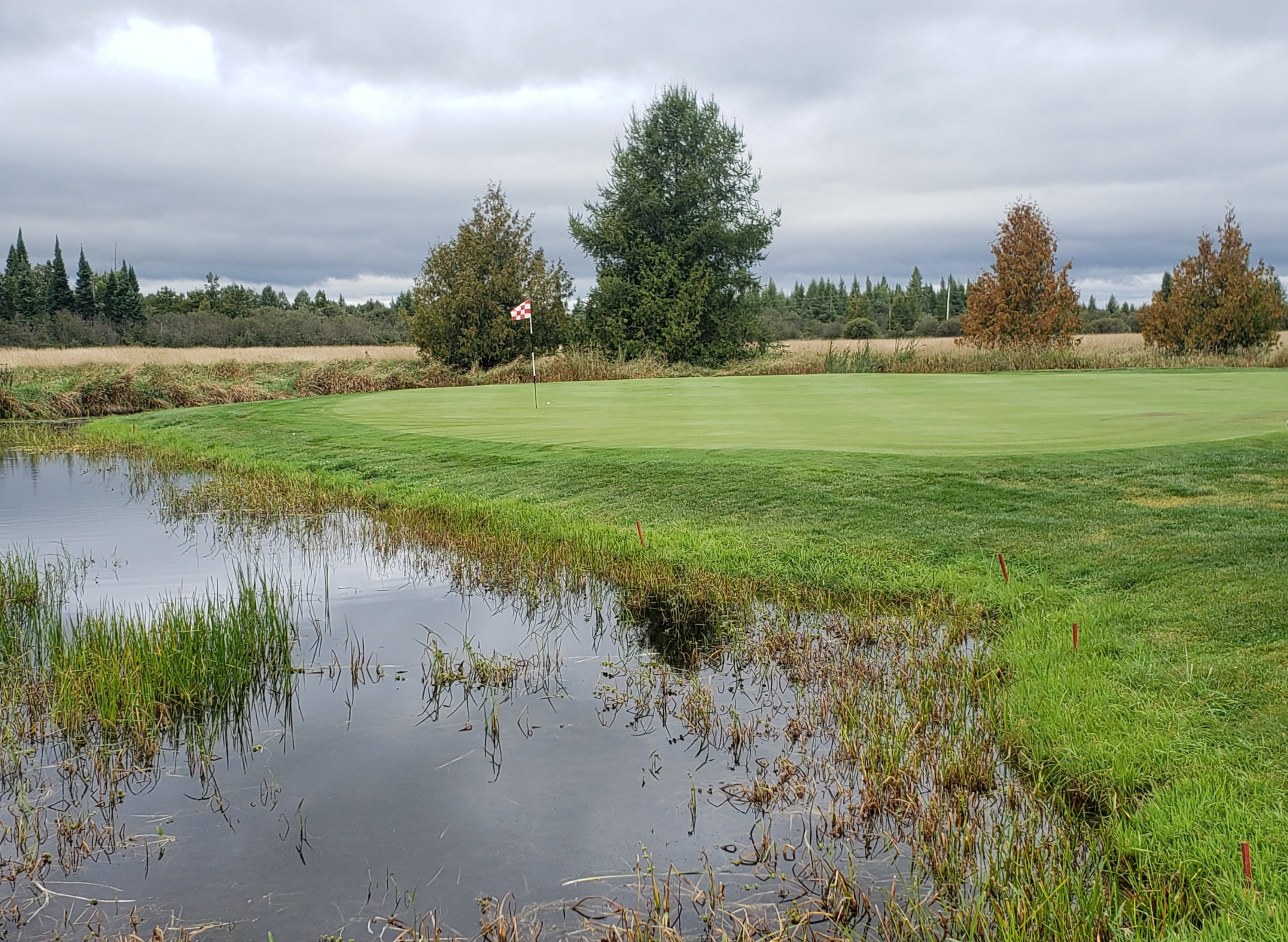 The Flying Elbow…Sometimes? | The Grateful Golfer